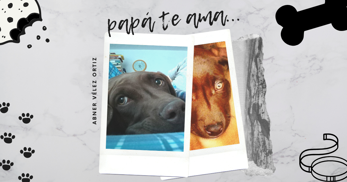 Papá te ama… – Abner Vélez Ortiz